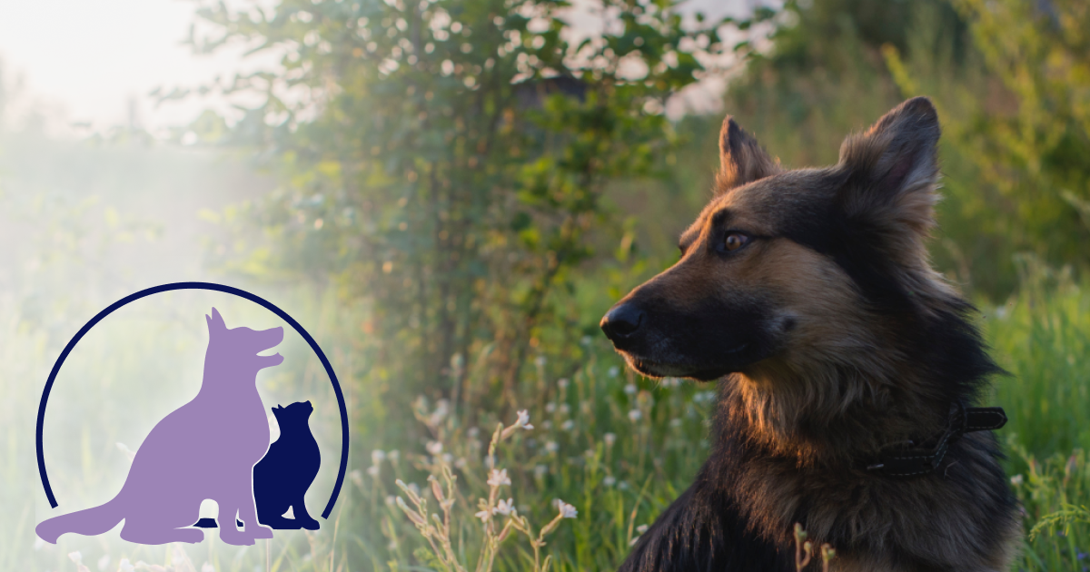 Pals of Paws Society